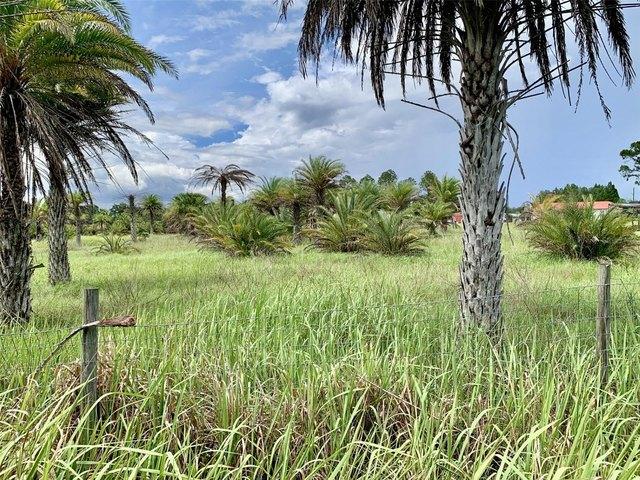 Dan Brown Hill Rd, Brooksville, FL 34602