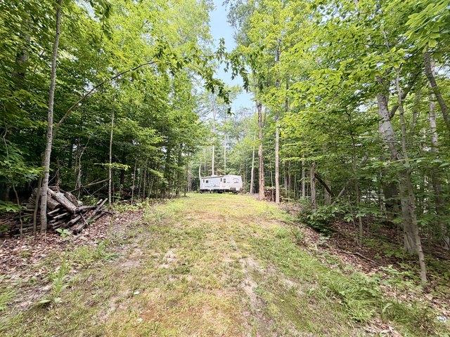 Dana Dr, McMillan, MI 49853