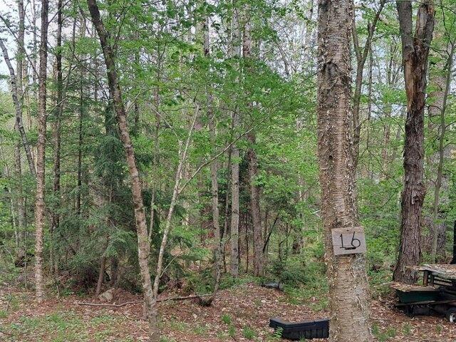 Danbury NH 03230 104542015