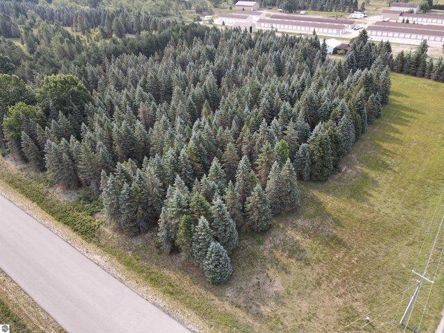 Danbury Rd Parcel B, Kingsley, MI 49649