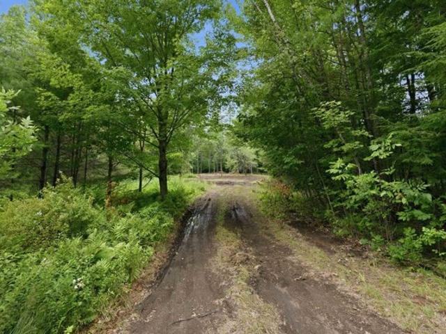 Dane Rd Lot,center Harbor, Plot For Sale