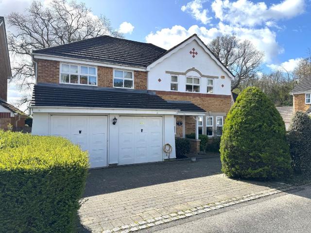 Danehurst Close, Egham, Surrey TW20, 5 bed detached house to rent, £3,500 pcm | PrimeLocation