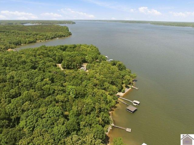 Daniel Lane/Overlook Dr Lots 29,30,31, New Concord, KY 42076