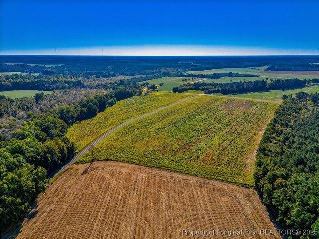 Daniel McLeod Rd Lot 21, Red Springs, NC 28377