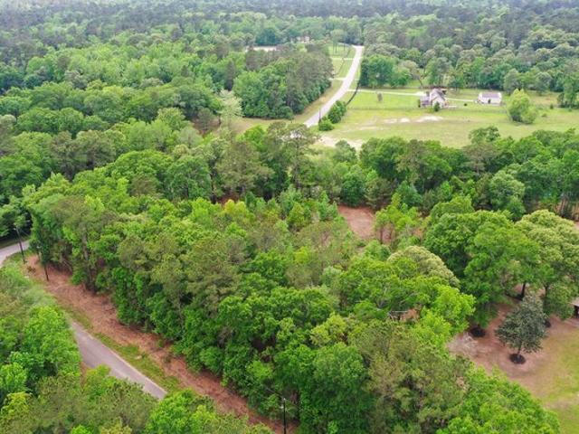 Daniel St, Magnolia, TX 77354