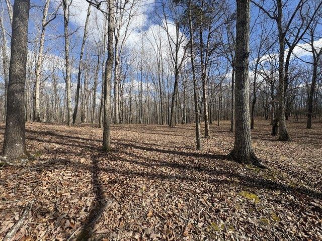 Daniel Rd, Waverly, TN 37185