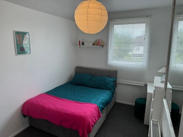 Danielle Royer Has a Room
