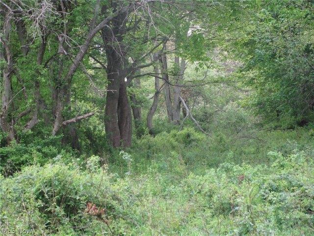Daniels Ave, Conneaut, OH 44030