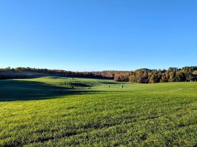 Daniels Run Rd Lot,check, Plot For Sale