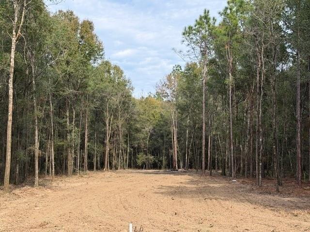 Danner Rd, Wilmer, AL 36587