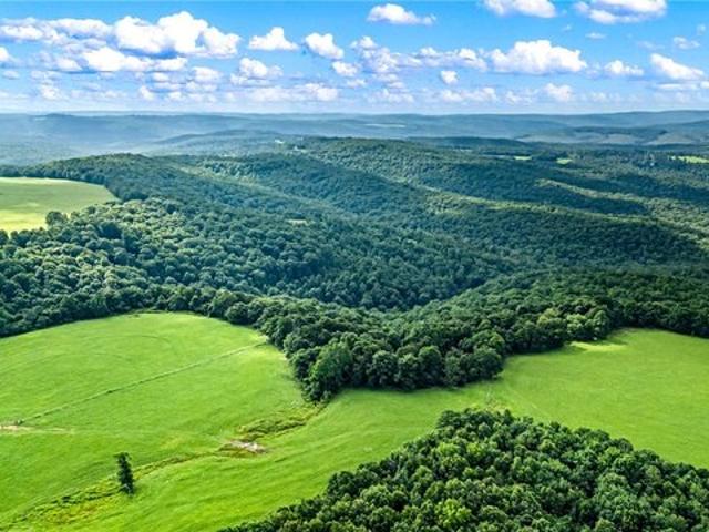 Dabney Lot 0, Jerusalem, AR 72080