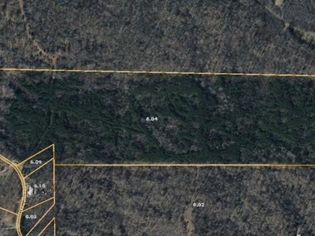 Dacus Rd, Medon, TN 38356