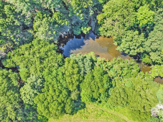 Daddys Creek Tr, Crab Orchard, TN 37723