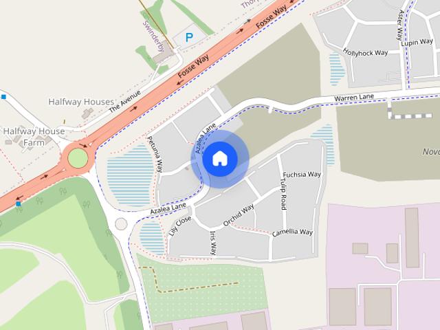 Daffodil Way, Witham St. Hughs, LINCOLN