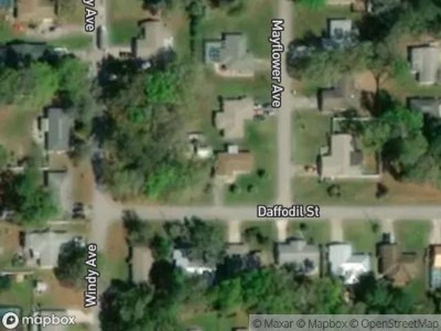 Daffodil St
