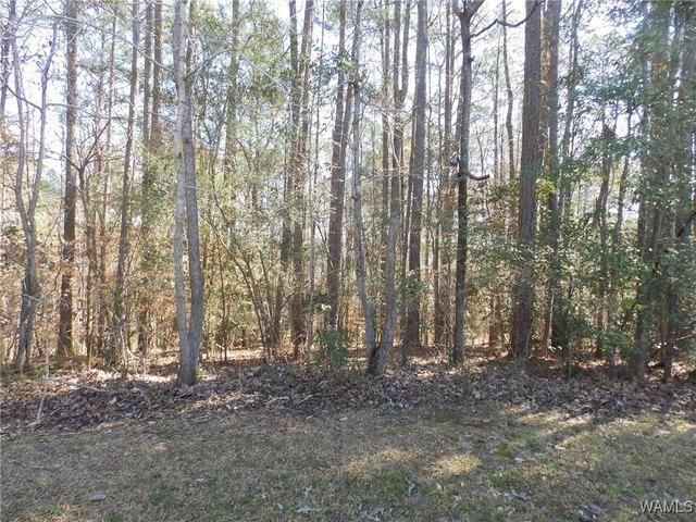 Daffron Rd, Tuscaloosa, AL 35453