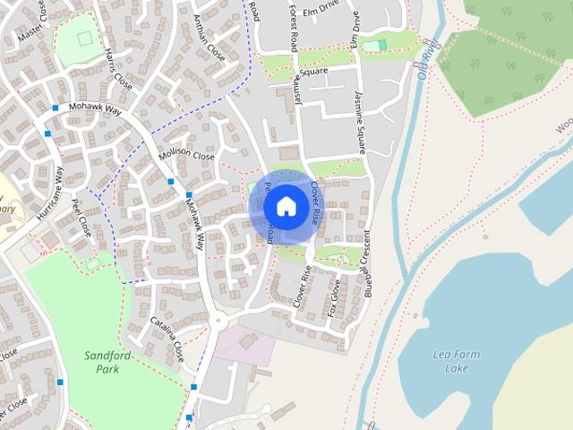 Dahlia, Woodley, Reading, Berkshire, RG5