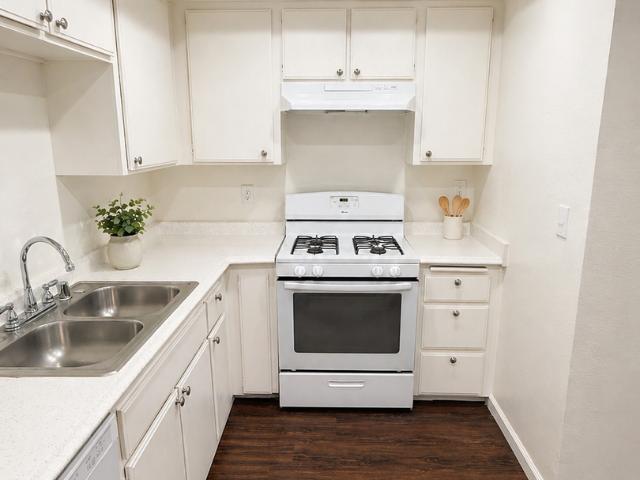 Daisy Apartments