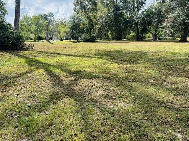 Daisy, Dayton, TX 77535