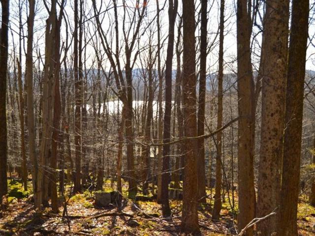 Daisy Dr Lot,terra Alta, Plot For Sale