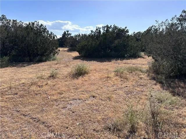Daisy, Irvine, CA 92618 | MLS #PTP2600