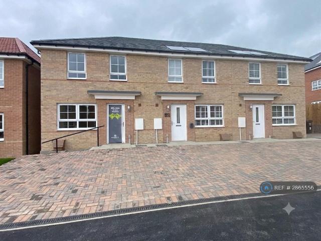 Daisy Lane, Newcastle Upon Tyne, NE15 3 bed semi detached house to rent £1,125 pcm £260 pw