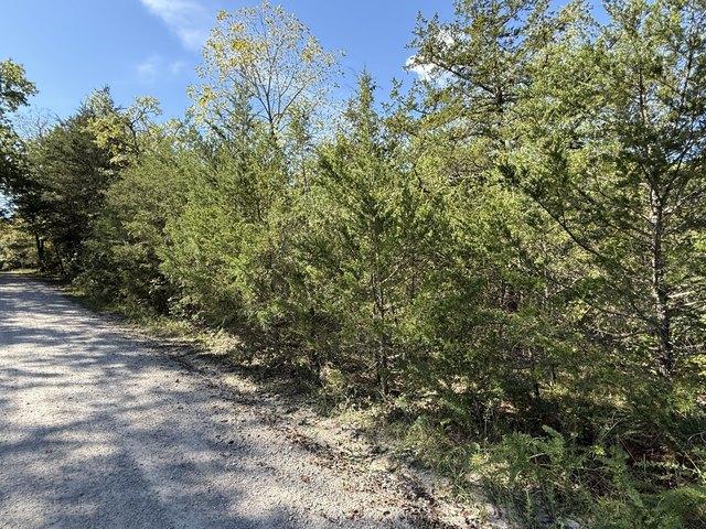 Daisy Ln Lot 23, Lampe, MO 65681