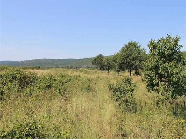 Daisy, OK Atoka Country Land 5.000000 acre for sale in Daisy, Oklahoma