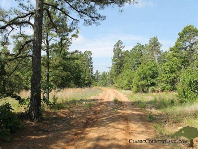 Daisy, OK Pittsburg Country Land 24.560000 acre for sale in Daisy, Oklahoma