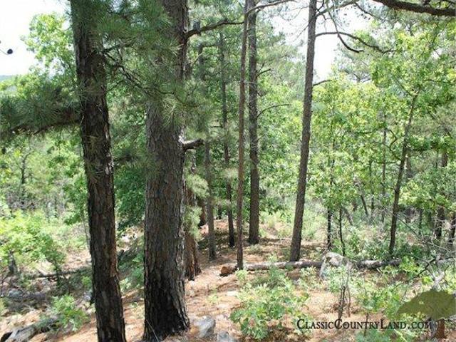 Daisy, OK Pittsburg Country Land 24.730000 acre for sale in Daisy, Oklahoma
