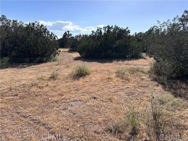 Daisy Rd, Oak Hills, CA 92344 | MLS #PTP2600
