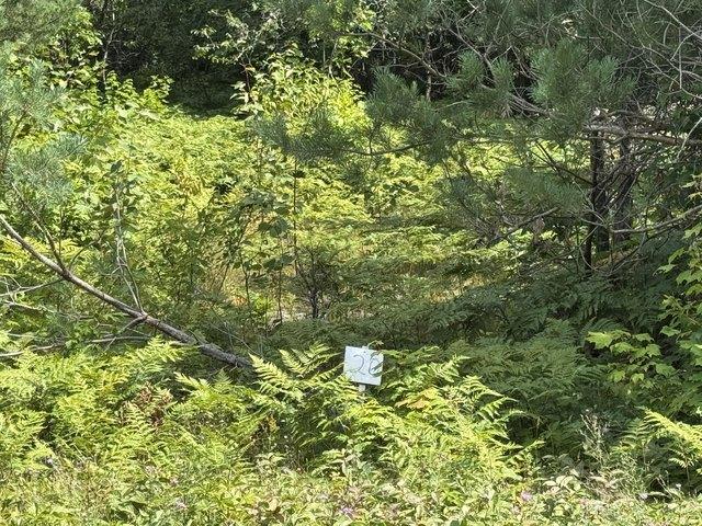 Daisys Way, Kinross, MI 49752