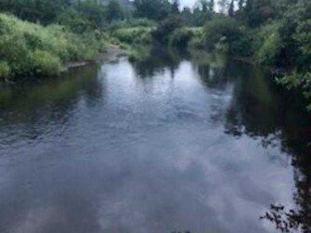 Dalton NH 03598 102212626
