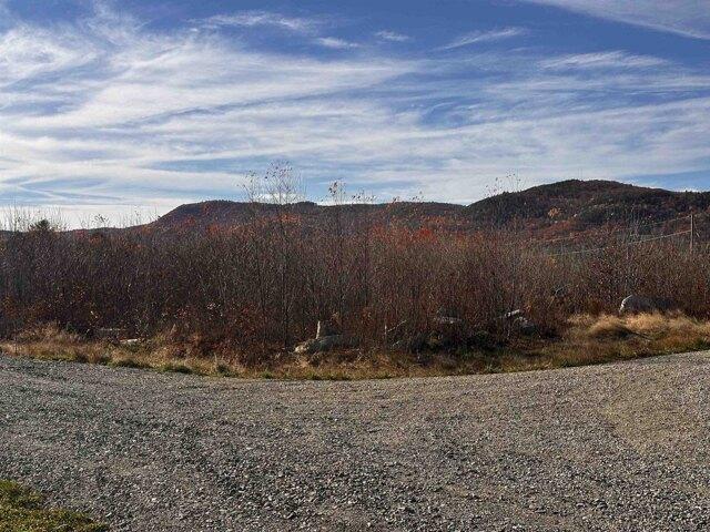 Dalton NH 03598 103101396