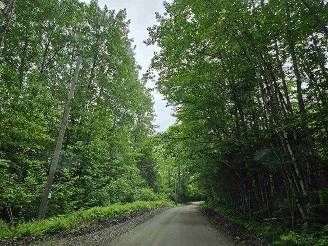Dalton NH 03598 103930784
