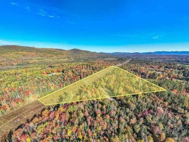 Dalton NH 03598 LS101783767