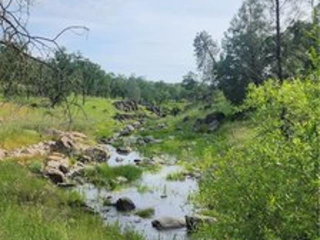 Daly, Palermo, CA 95966