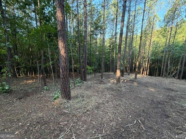 Dallas GA 30132 104901347