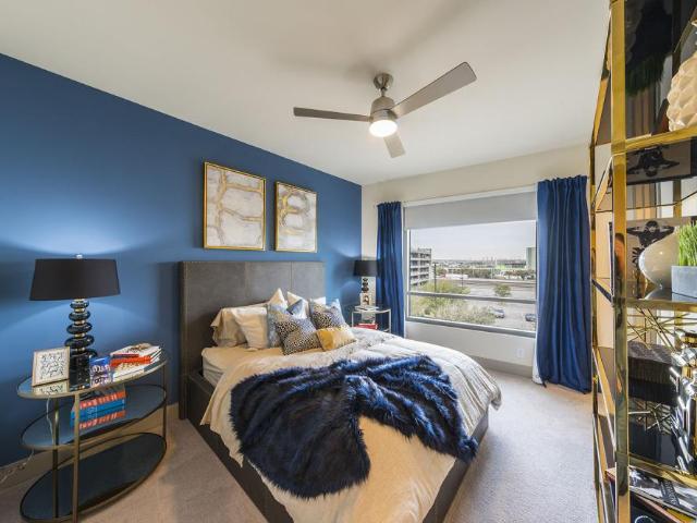 Dallas TX 75219 78298215