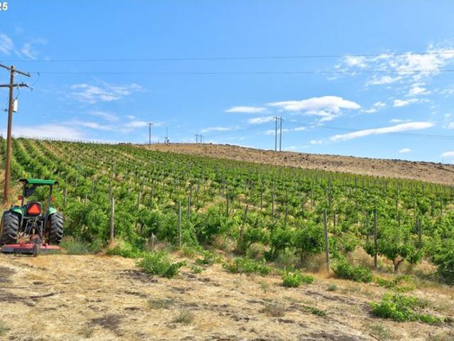 Dalles Mt Rd, Dallesport, WA 98617