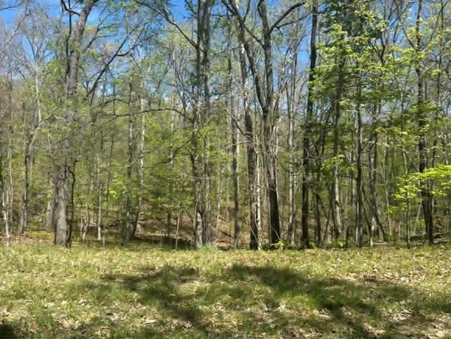 Darwin Ln Lot 120, Crossville, TN 38558