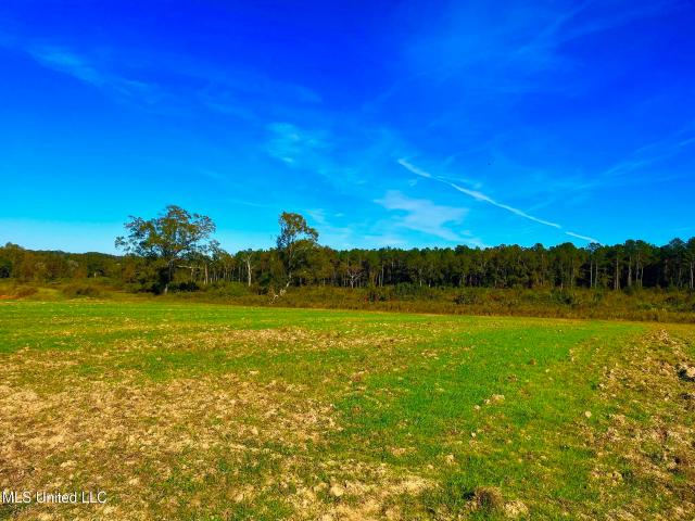 Darbun China Grove Road, Sandy Hook, MS 39478