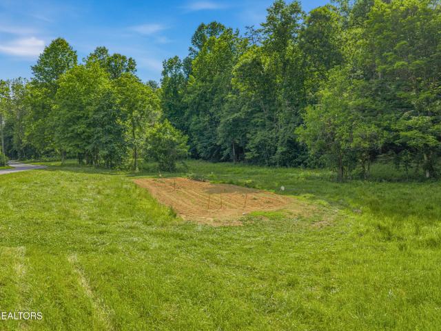 Dark Hollow Rd, Andersonville, TN 37705