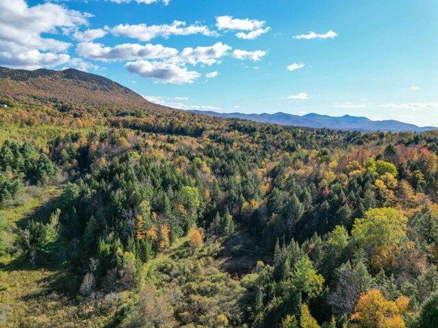 Darling Rd Lot,morristown, Plot For Sale