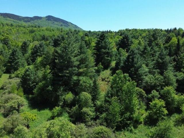 Darling Rd Lot,morristown, Plot For Sale