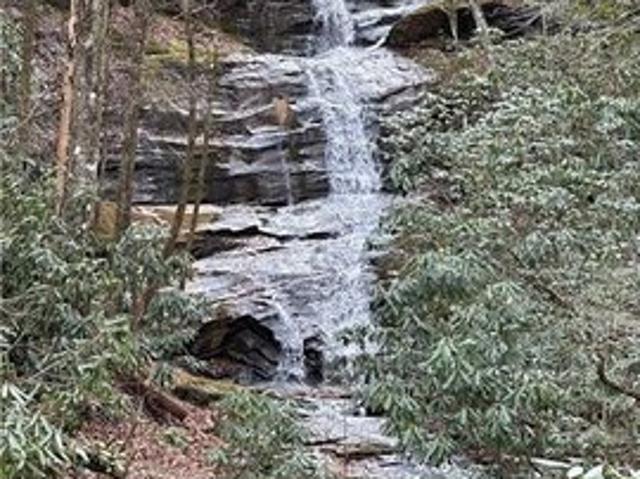 Darnell Creek Rd, Millers Creek, NC 28651