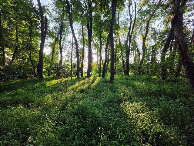 Darr Rd, Belle Vernon, PA 15012