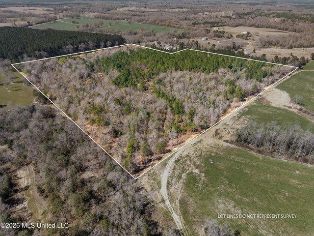 Darron Hodge Ln, Poplarville, MS 39470