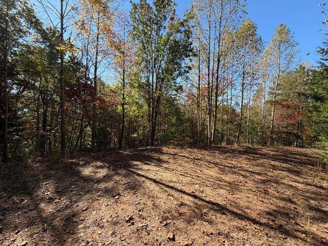 Dasali Way Lot 40, Murphy, NC 28906