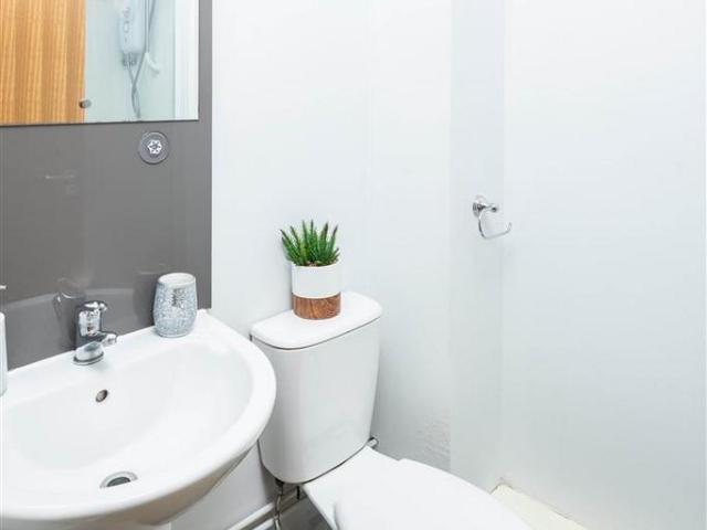 Daulby Street, Liverpool L3 Studio to rent £1,192 pcm £275 pw
